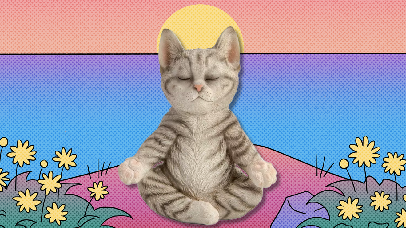 The radical power of being incurious